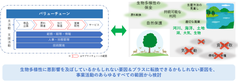 TNFDとは？TCFDとの違いも解説 ブルードットグリーン株式会社