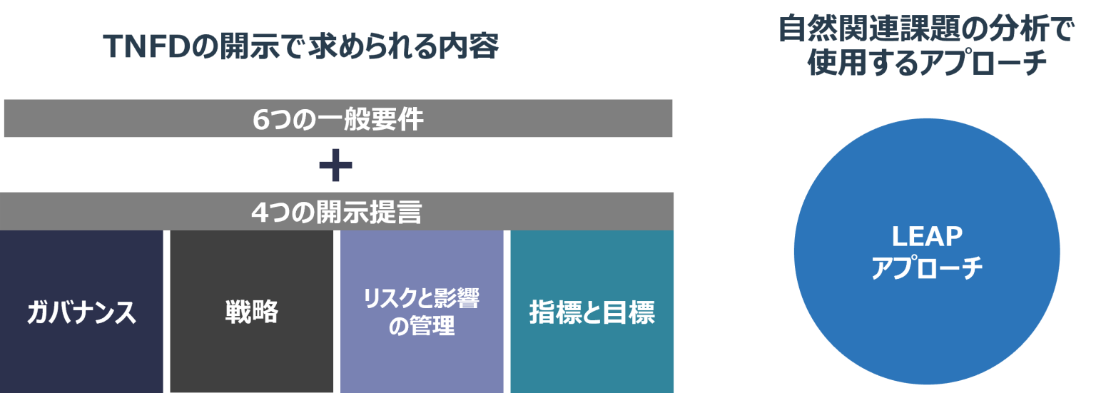 TNFD最新版v1.0が公開！開示ポイントを徹底解説！ 株式会社エスプールブルードットグリーン