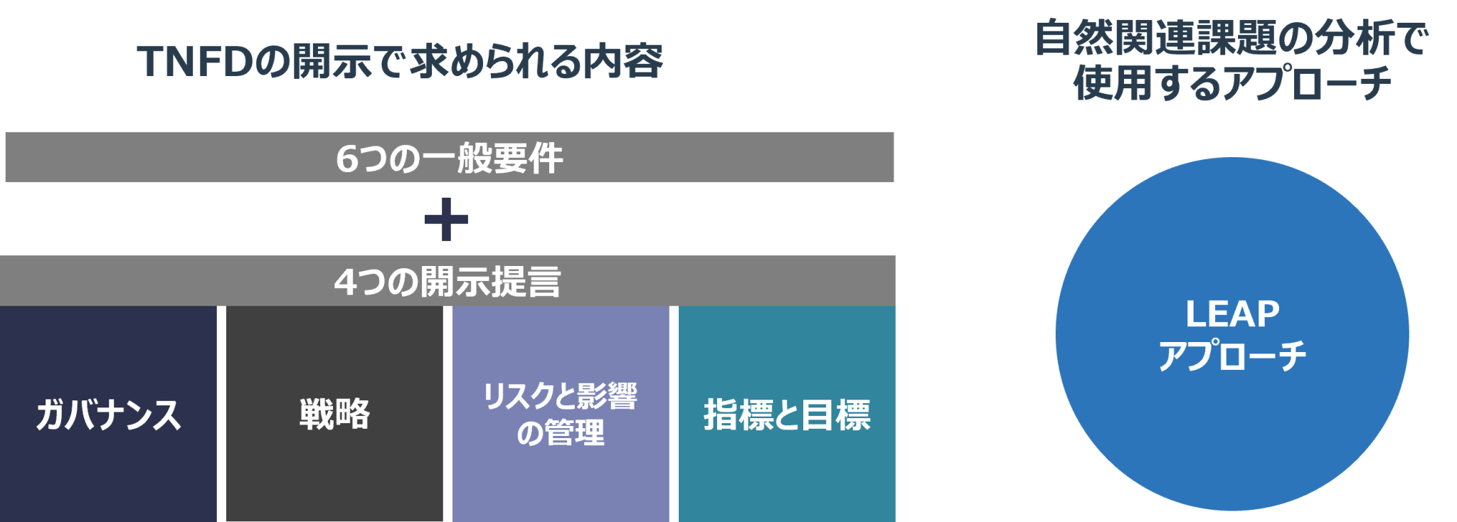 TNFD最新版v1.0が公開！開示ポイントを徹底解説！ 株式会社エスプールブルードットグリーン