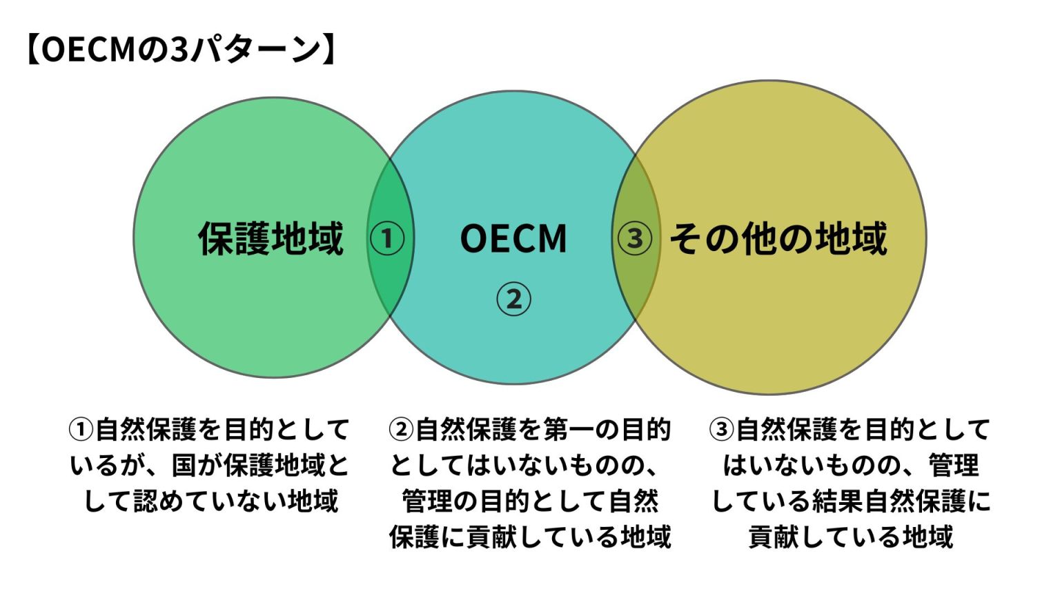 OECMとは？企業が認定を得るメリットや事例をわかりやすく解説！